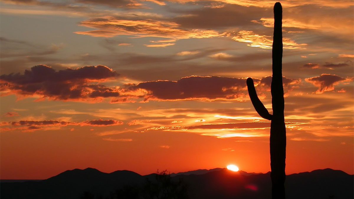 Guide On 15 Best Nightlife Experiences in Phoenix, Arizona